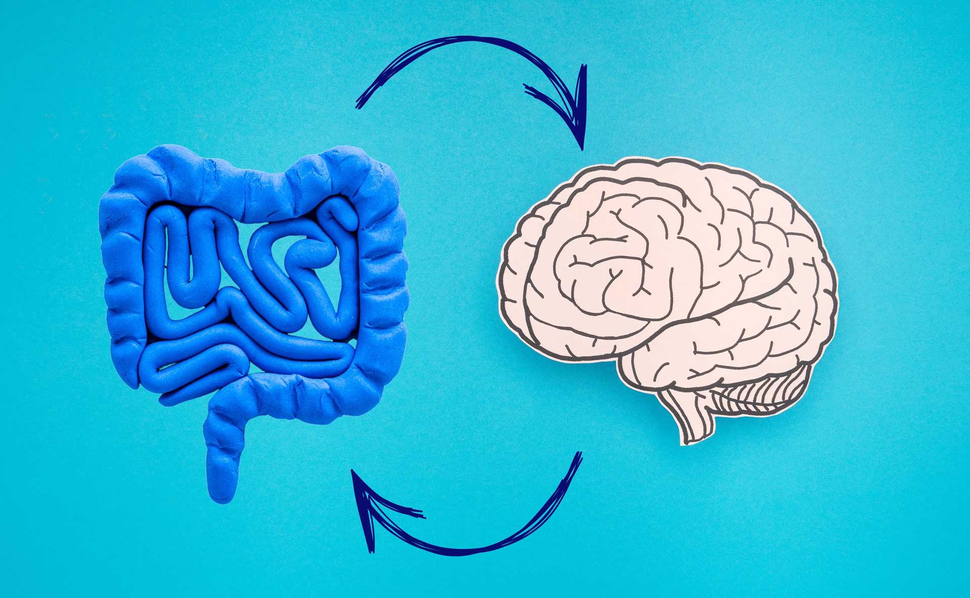 IBS and the gut-brain axis - AKWise - Stress and Gut Health Expert